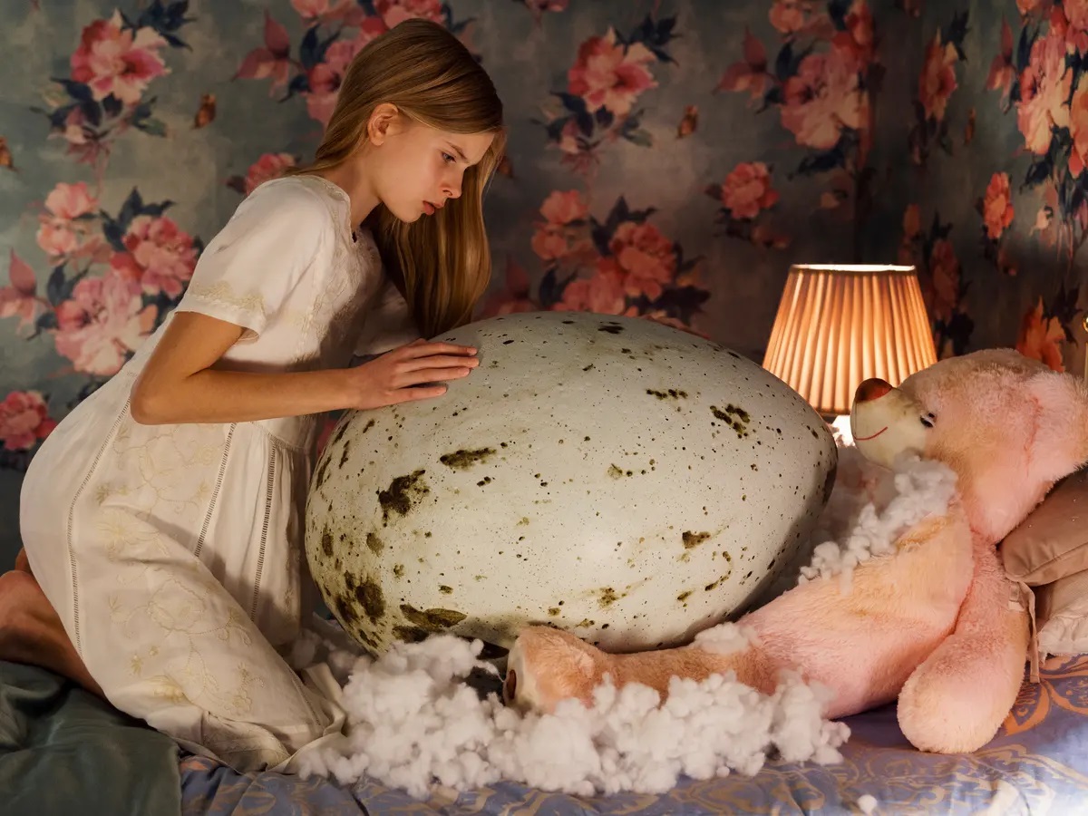 5 Films In 2022 With Creative Concepts - Big Picture Film Club