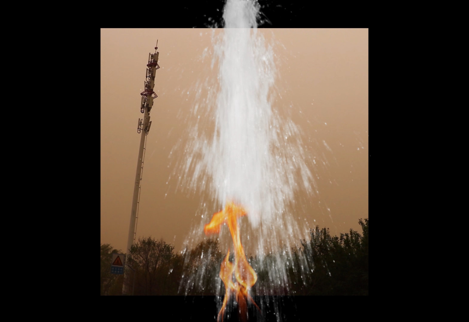 Sustainability Is Never a Boring Topic, See How Chinese Young Filmmaker ...