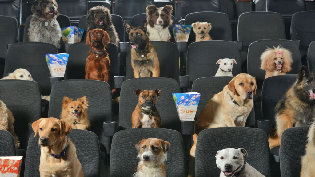 Man's Best Friend: Dogs On Film - Big Picture Film Club